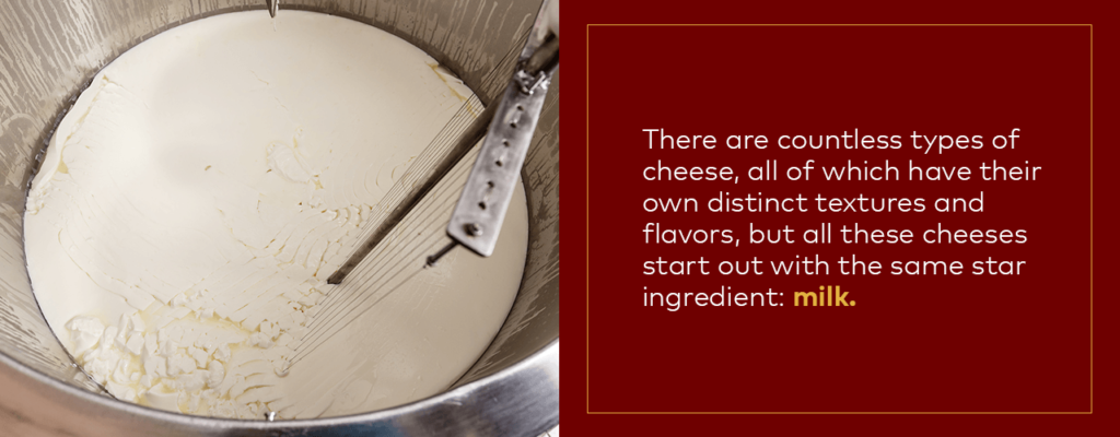 How is Cheese Made? | What is Cheese Made Of? | The Process