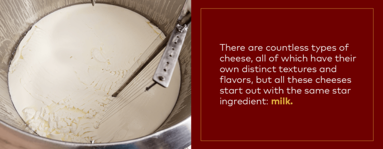 How is Cheese Made? | What is Cheese Made Of? | The Process