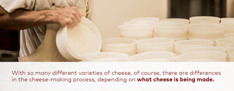 How is Cheese Made? | What is Cheese Made Of? | The Process