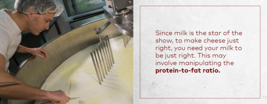 How is Cheese Made? | What is Cheese Made Of? | The Process