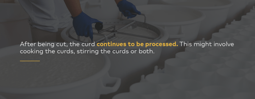 How is Cheese Made? | What is Cheese Made Of? | The Process