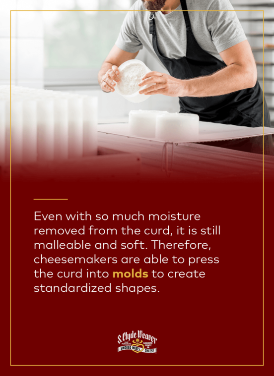 How is Cheese Made? | What is Cheese Made Of? | The Process