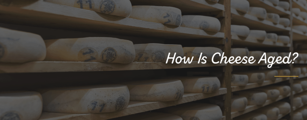 How is Cheese Made? | What is Cheese Made Of? | The Process