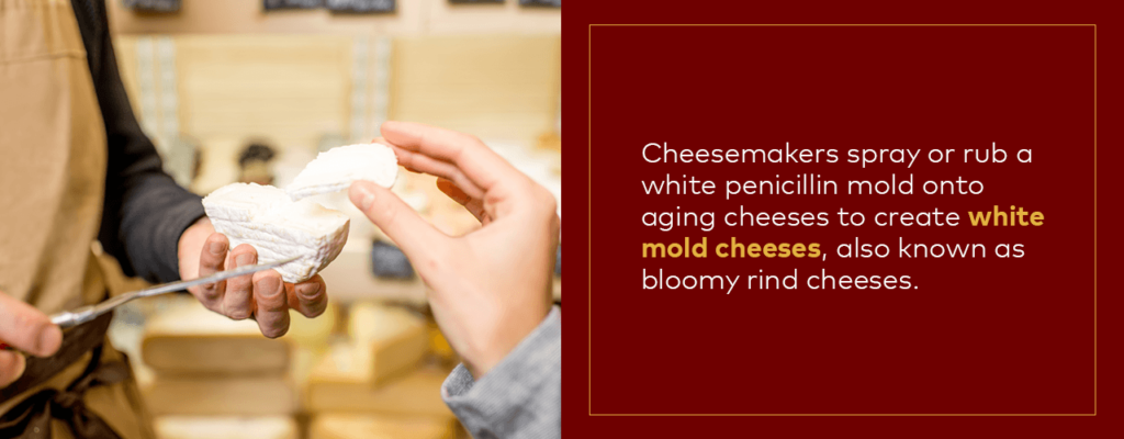 How is Cheese Made? | What is Cheese Made Of? | The Process