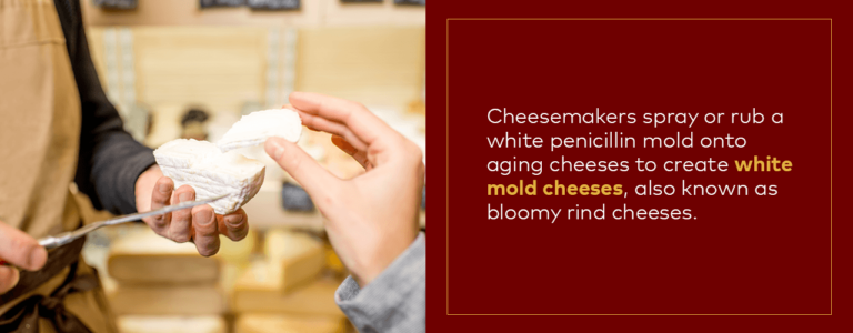 How is Cheese Made? | What is Cheese Made Of? | The Process